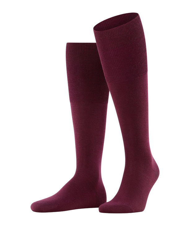 Knee-high Airport (Red) | FALKE