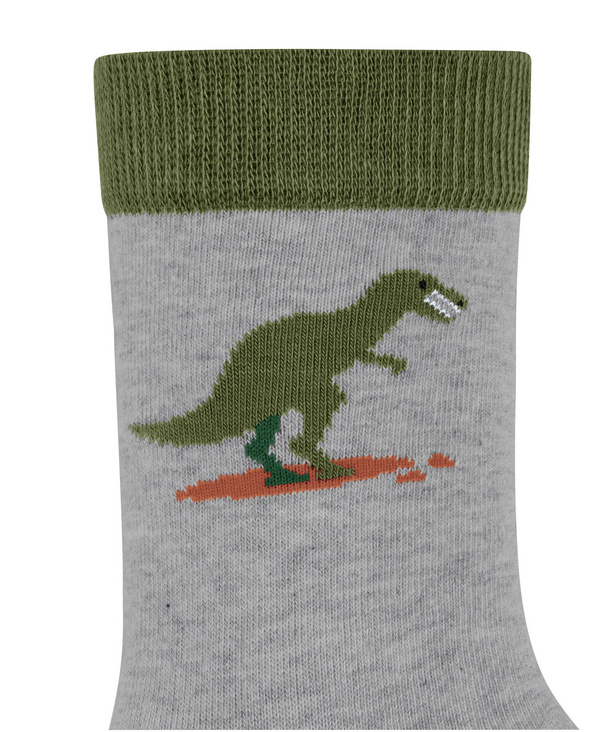 Dinosaurs Kinder Socken (Grau)